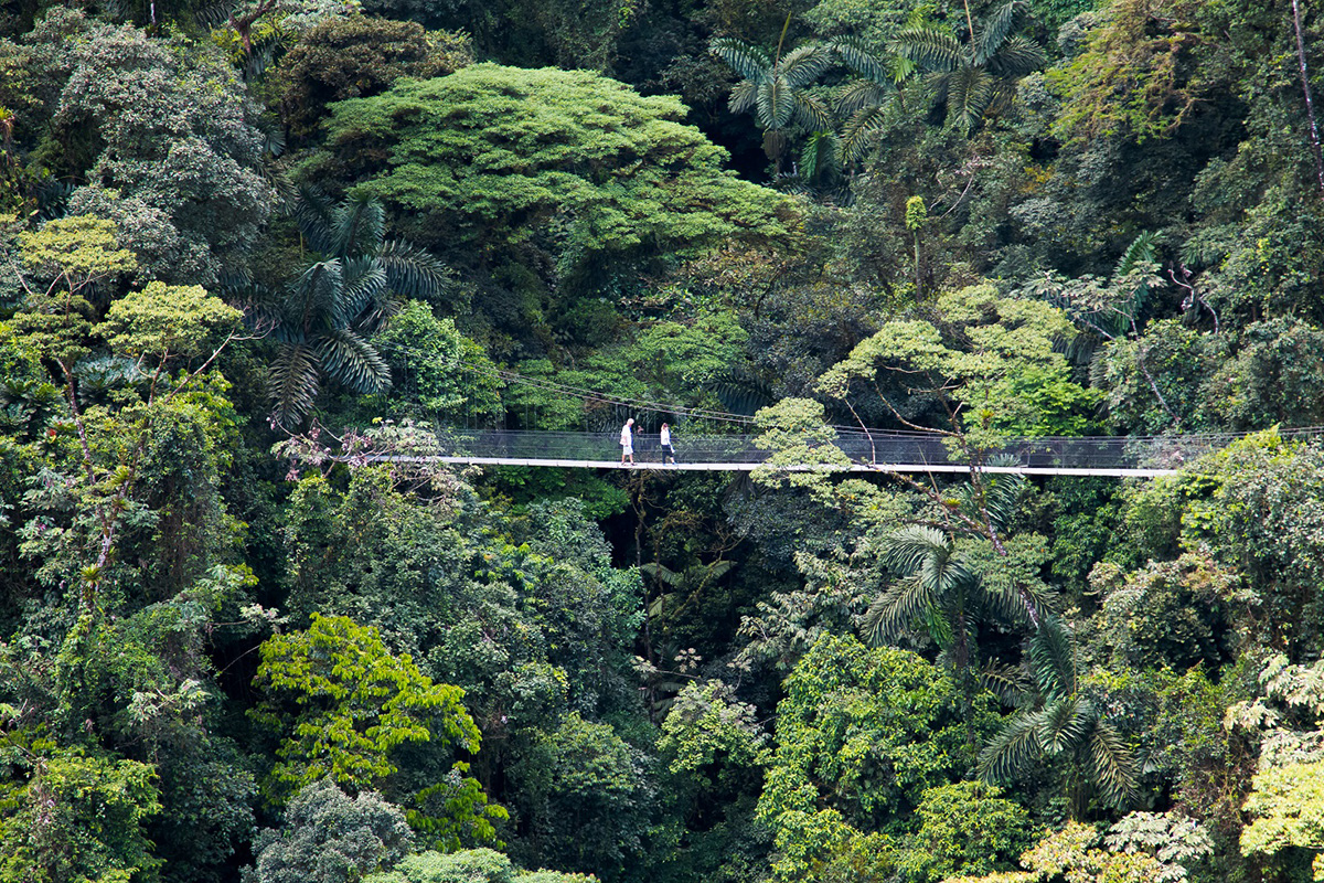 ARENAL HANGING BRIDGES TOUR - Ecogetaways